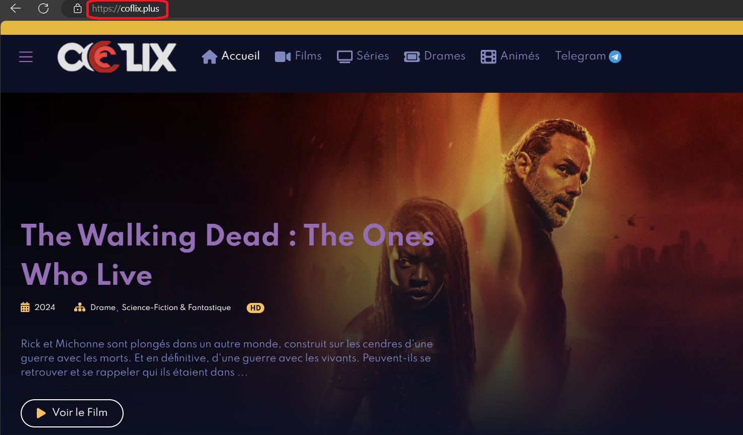 👉Coflix : la bonne adresse pour accéder au site